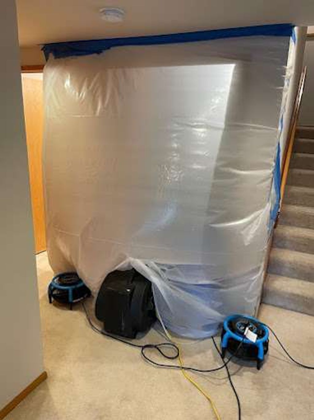 Carpet cleaners | homify