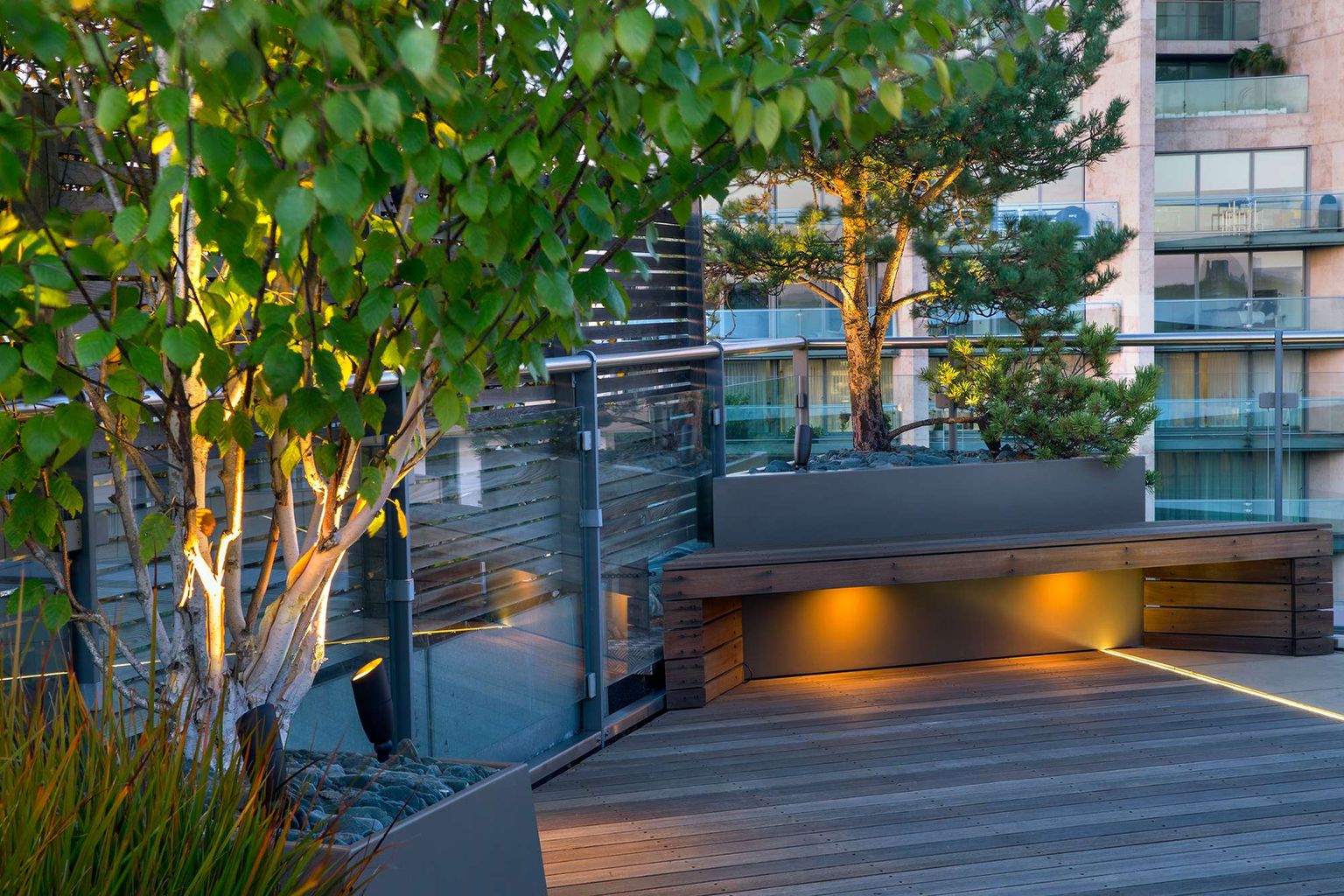 Terrific trees for modern biodiversity: a leafy entry to a profuse ...