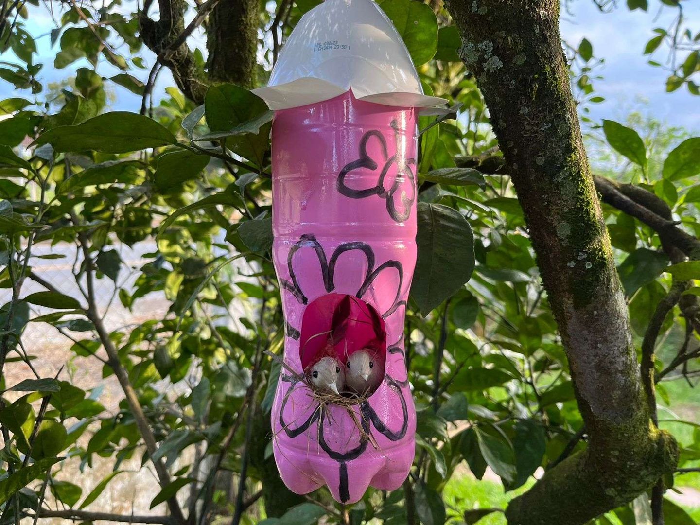 How to Make A DIY Plastic Bottle Birdhouse in 12 Simple Steps | homify