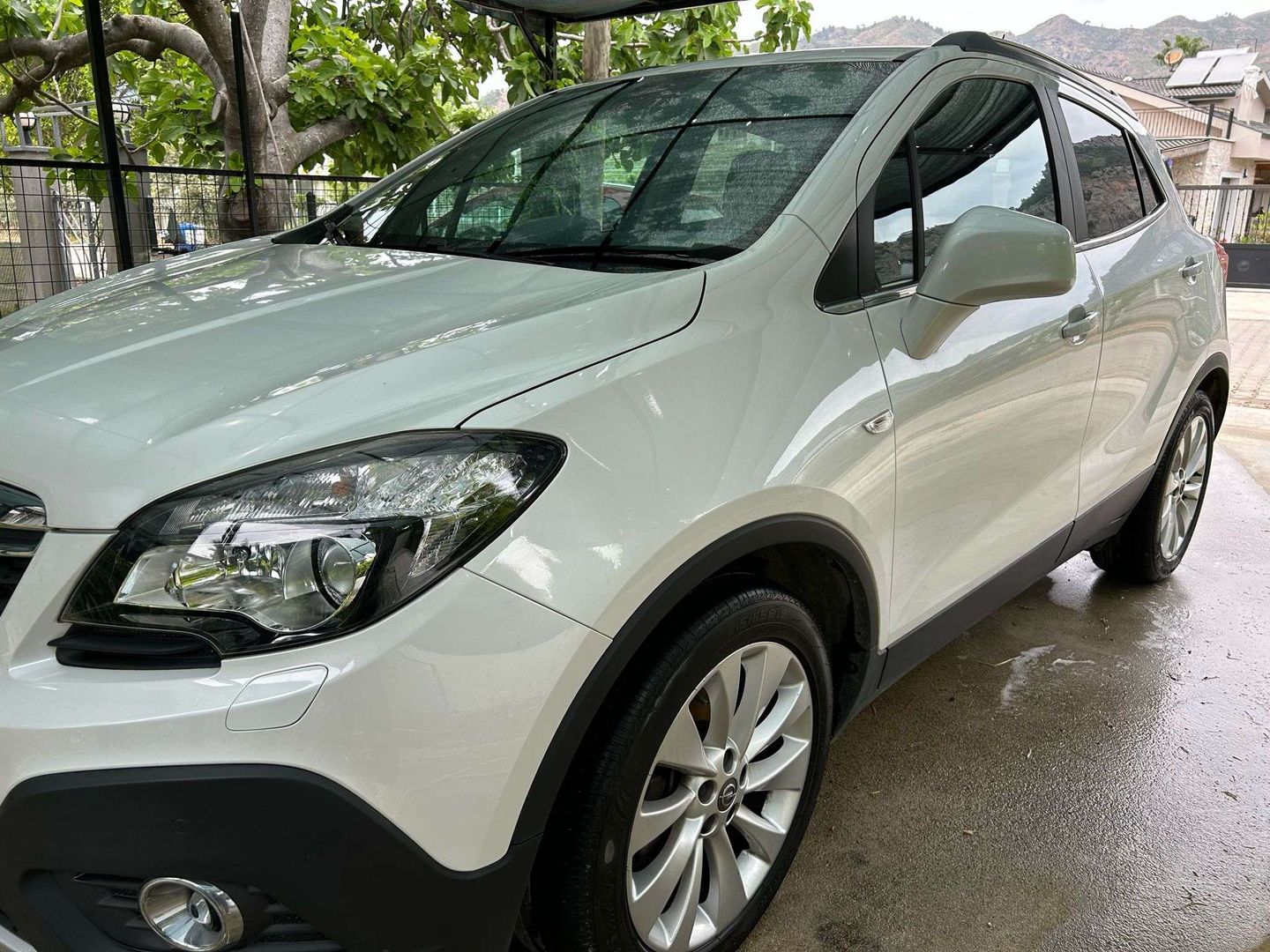 Mastering DIY Car Wash at Home: A Comprehensive Guide | homify