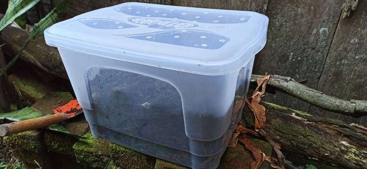 Caixa De Compostagem Como Fazer | Veja em 8 Etapas | homify