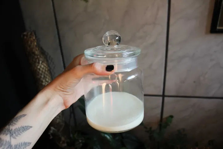 Máscara Caseira para Nutrir os Cabelos com Aloés e Mel - 10 Passos ...