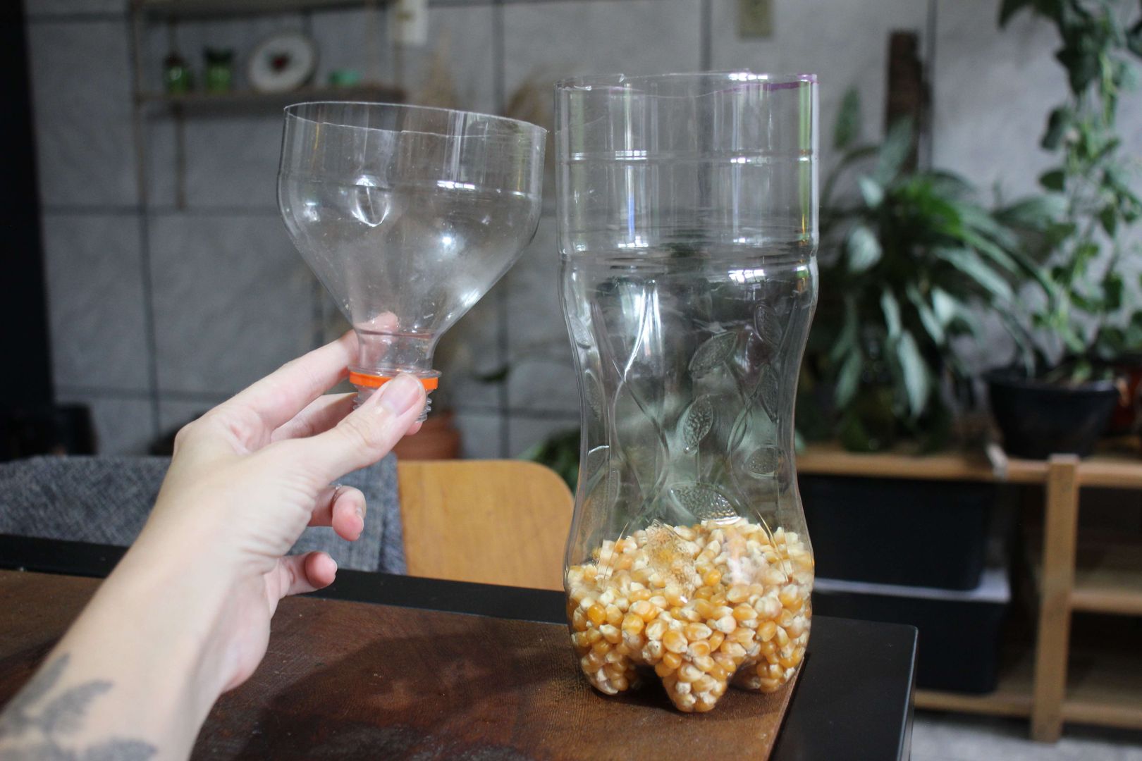 Step-By-Step Plastic Bottle Funnel Guide l DIY Funnel From Plastic ...