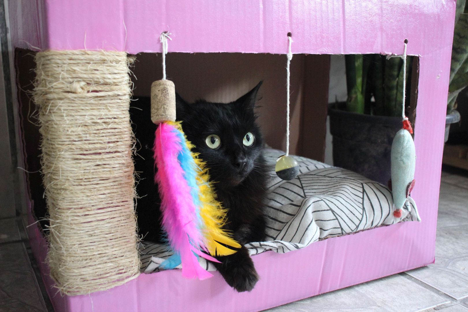 Cat Playhouse Tutorial: How to Make a Kitty Play Place out of a Box ...