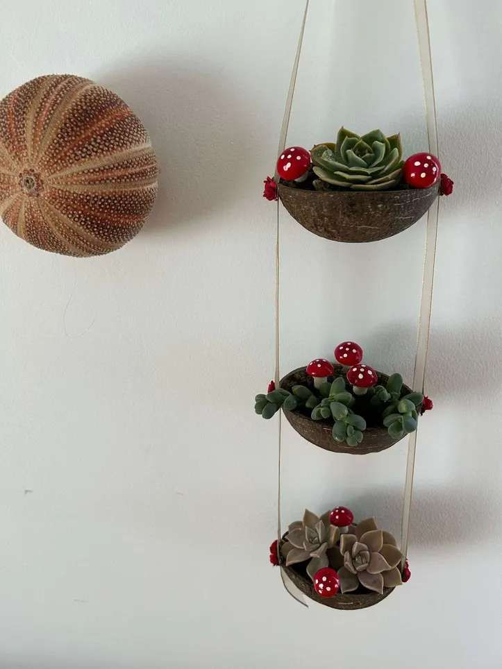 Ideias DIY com Cascas de Coco | Como Fazer Vasos de Flores Suspensos ...