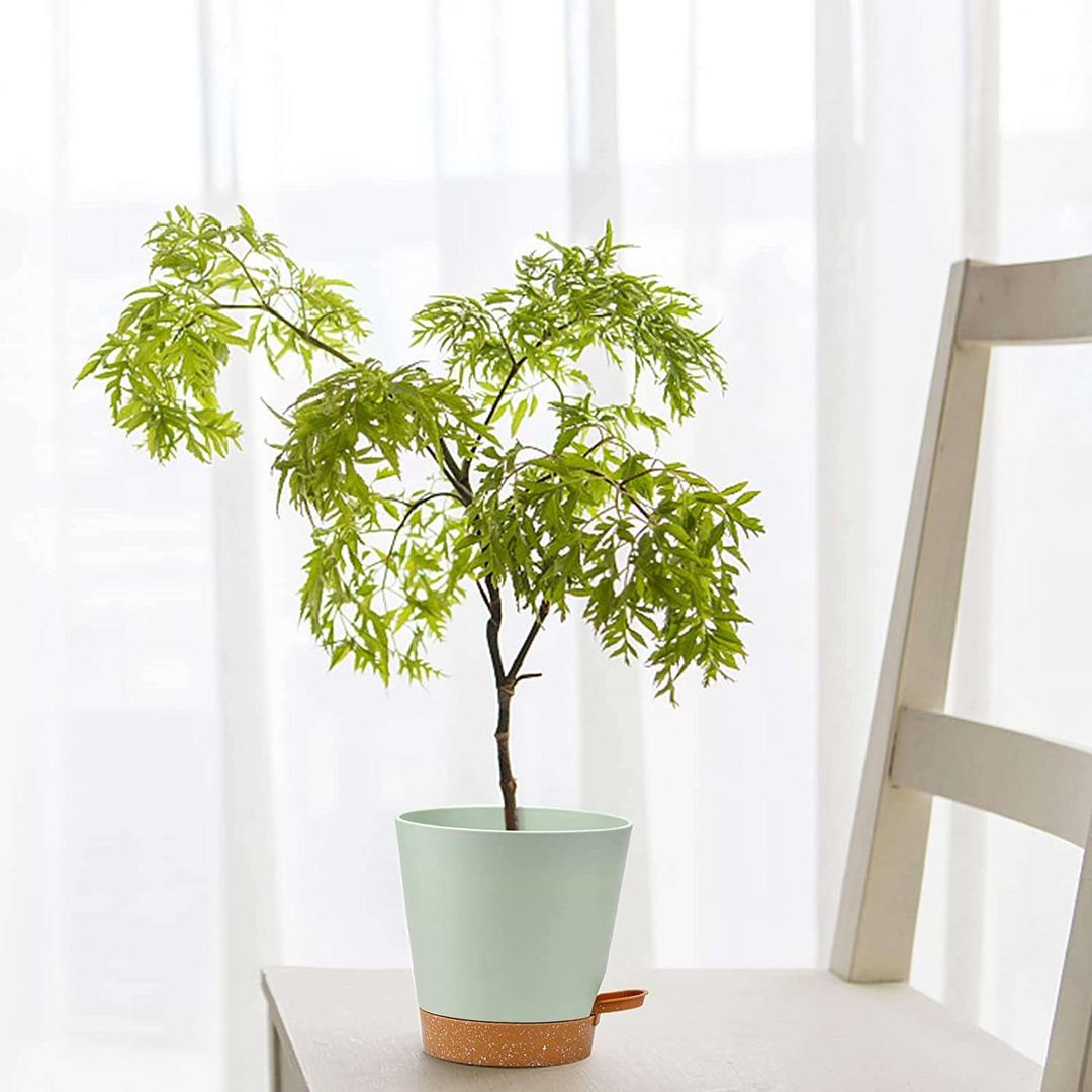 7 Vasos Decorativos para Interiores | homify