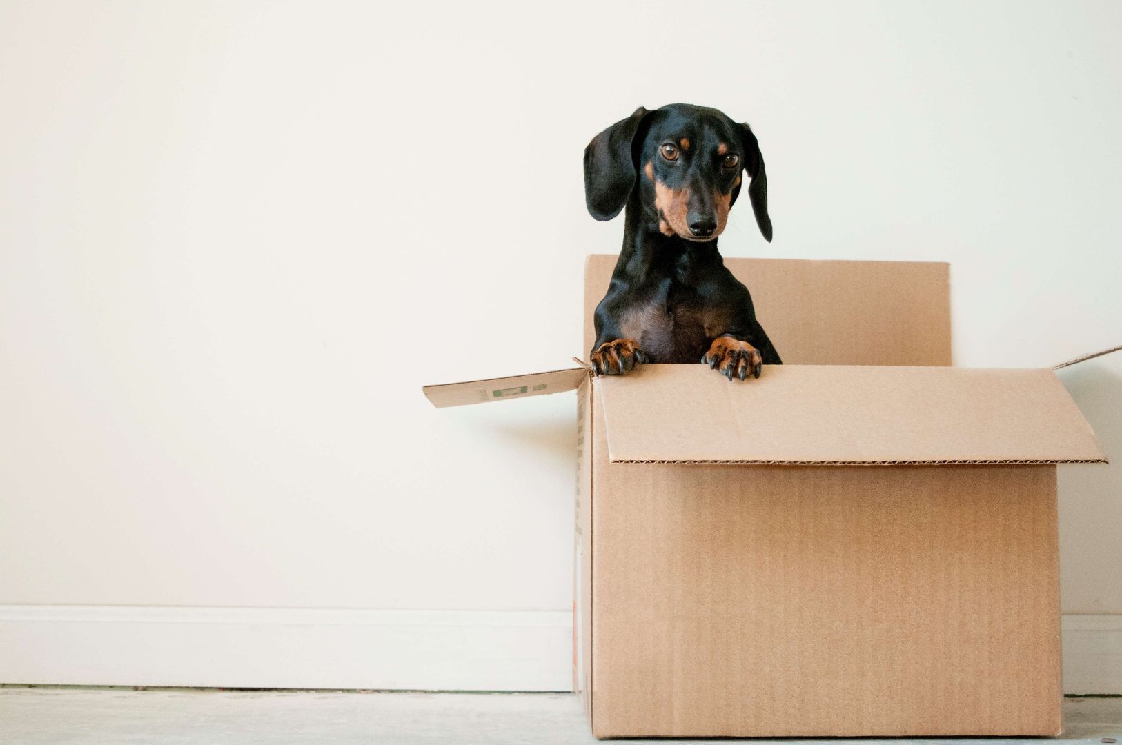 Verhuizen? Tips om je nieuwe woning als thuis te laten voelen | homify