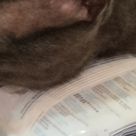 Everything You Ought to Know About LSF Construction | homify