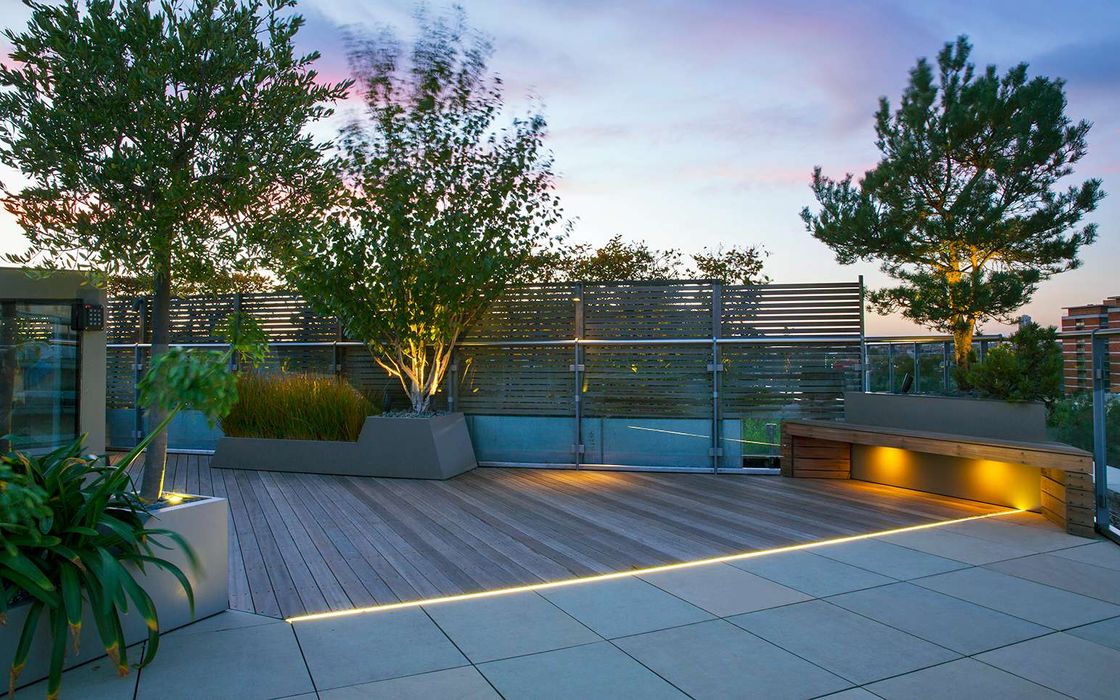 Terrific trees for modern biodiversity: a leafy entry to a profuse ...