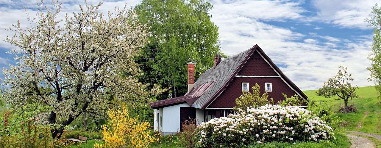 Assurance habitation : comprendre et bien choisir son contrat | homify