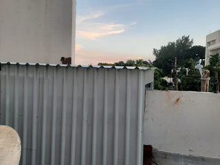 Balkimer Construcciones, Remodelación y Mantenimiento: Constructores en Coatzacoalcos | homify